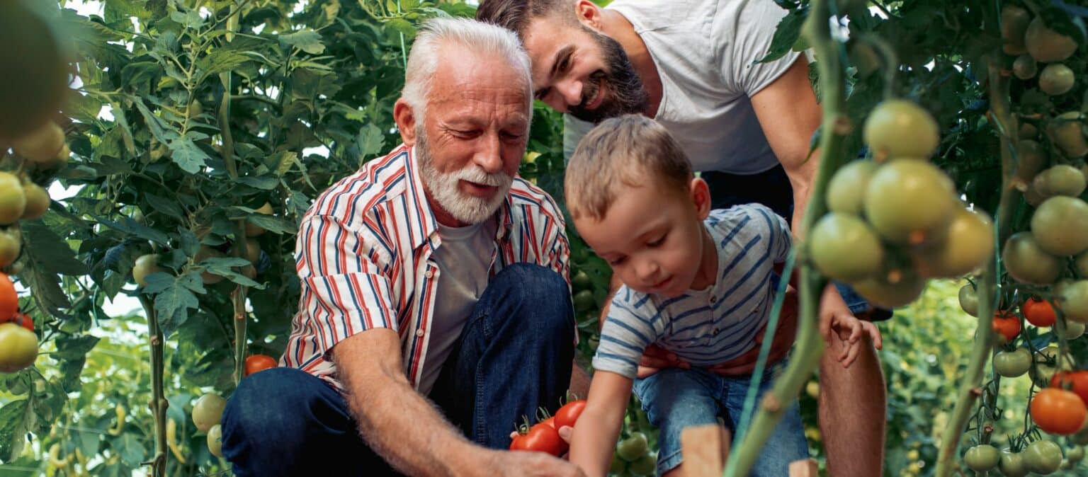 Wat is een RSIN-nummer? Zijn een RSIN- en btw-nummer hetzelfde? - De Zaak